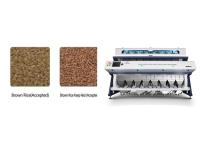 China 8 Chute Cloud Control Brown Rice Colour Sorter Machine for sale