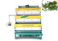 China One Button Analysis Tea Color Sorter With Hawk Eye Camera for sale