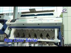 AI Rice Color Sorter 220V 50Hz Light Control High Accuracy Automatic