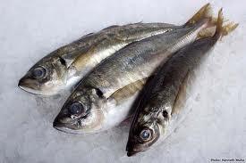 China Good Price of Horse Mackerel Frozen Fish for with size 100-200g. for sale