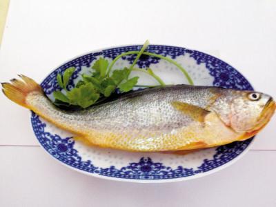 China Good price frozen fresh yellow croaker from China for African macketing. for sale