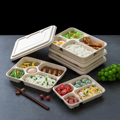 China Biodegradable Custom Design Recycled Materials Food Box Sugar Cane Bagasse Lunch Box For Food for sale