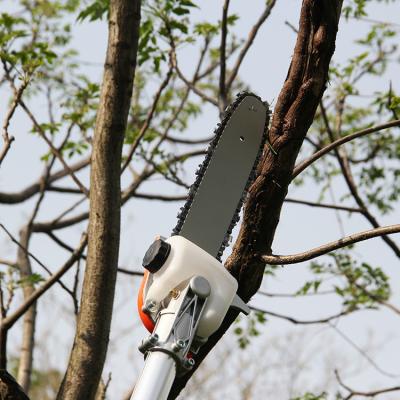 Cina Le alte forbici del ramo fanno il giardinaggio cesoia per tagliare le siepi 7800r/Min Long Reach For Cutting in vendita