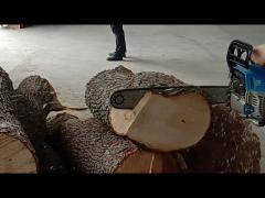 シエラ・デ・チェーンの作戦