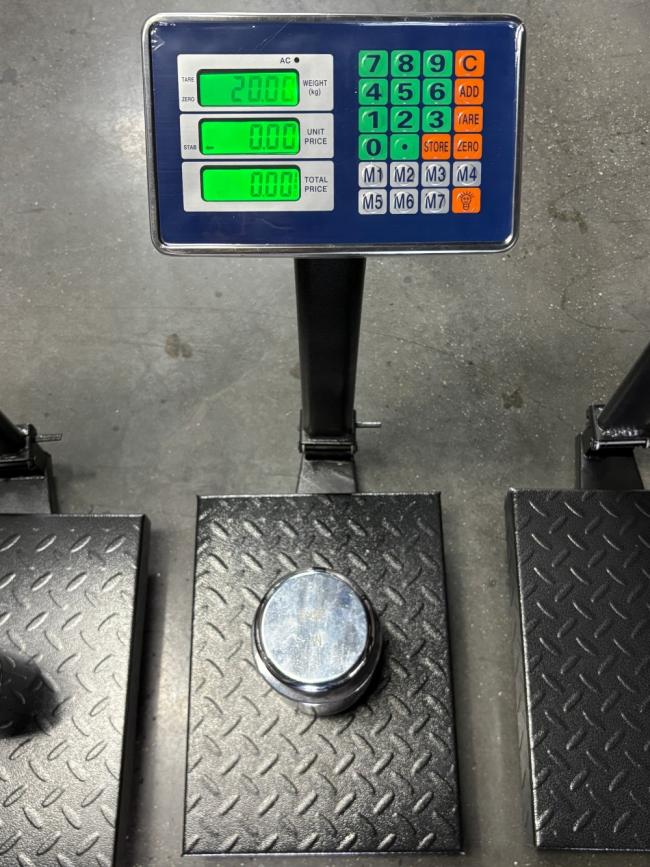 Made China Industrial Electronic Scale TCS Digital Platform Scale for 150kg 200kg 300kg 500kg Steel Hanging Scale Indicator