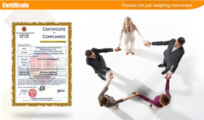 100kg platform weighing scales factory