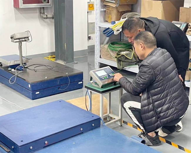 High Precision 24-Bit ADC Electronic Scale Hardware 20.7-Bit Stationary Code kg Unit Custom ODM Support 0.1g Accuracy OEM