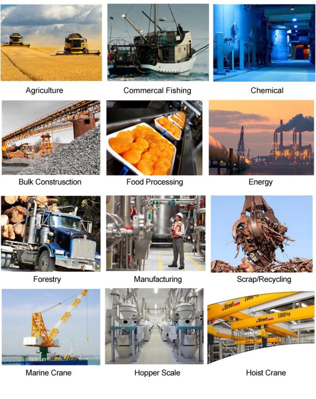 Animal weighing scale livestock cattle weighing horse scale