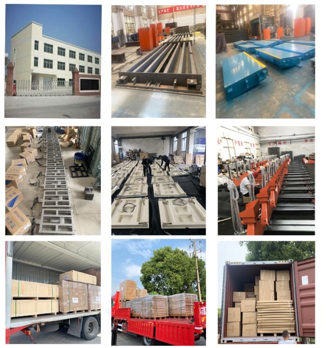 40kg Acs-809 Digital Price Computing Scale in China 30kg Calibration Electronic Scale Acs 220V 110V