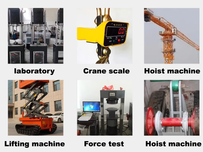 SC9B 1Ton alloy steel shear load pin-type load cell for crane compression tension shaft pin weight sensor load cell