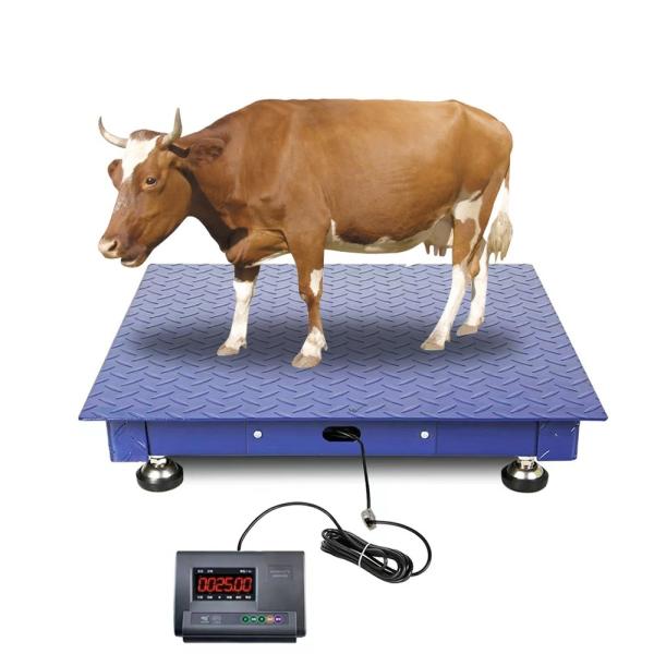 Quality Industrial Electronic Balance Platform Floor Weighing Scales with Customized OBM Support and Carbon Steel for sale