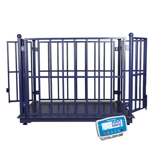 Quality Stainless Steel Horse Scale Floor Scale for Livestock Farm With Fence 500g Accuracy and AC110V/220V Power Supply for sale