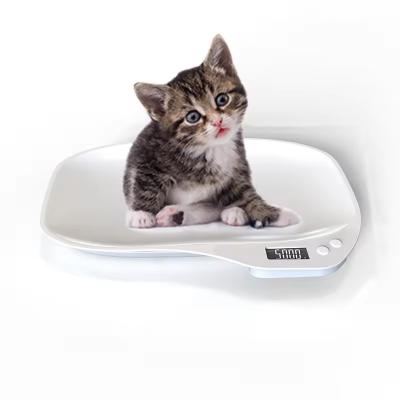 China Livestock Scale Electronic Portable Precision Digital Pet Weight Scale for Puppy Rabbit Kitten Weight Loss 33lb/15kg 1g for sale