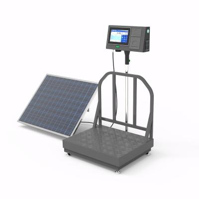 China Floor Scale 7-Inch AI Intelligent Android System LCD Bench Scale Solar-Powered Weighing Scale kg Units Label Print Traceability OEM ODM for sale