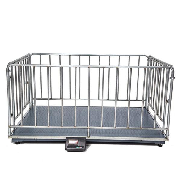 Quality Customizable AC110V/220V Livestock Weighing Scale Measure Body Weight of Pigs Cattle and Sheep in Pasture up to 1000kg for sale