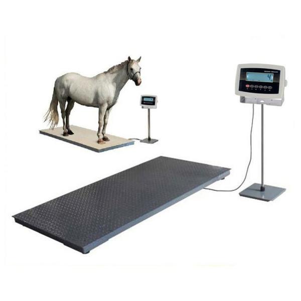Quality Precise Livestock Cattle Weighing Scale with Indexing Value 0.5/1/2/5Kg and Customized Support for sale