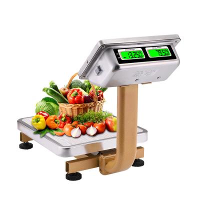China Mini Fold Portable Electronic Scale 60 kg TCS Electronic Platform Scale with Stainless Steel Indicator Bench Scale for sale