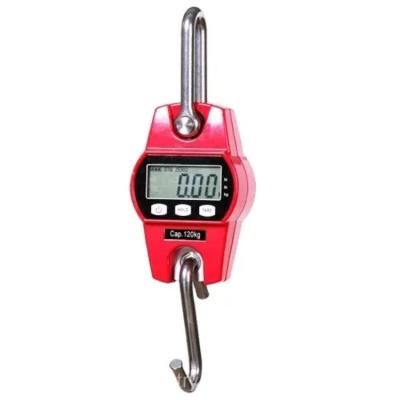 Cina Veidt OCS-L Scale da gru portatile 50kg Capacità Digital Hanging Weight Hook Scale con display LCD/LED OEM ODM Supported in vendita