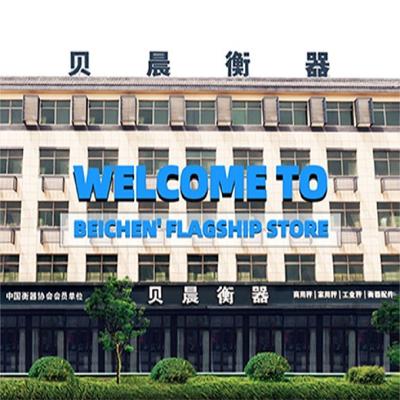 China ABS stainless steel 300kg Digital Hanging CRANE SCALE Weighing Scale with LCD Display for Measuring OEM Supported for sale