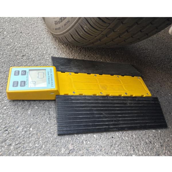 Quality Robust Scale Indicator Featuring Multiple Input Options and User Friendly for sale