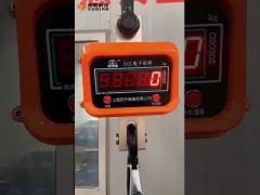 Weighing Indicator Proof Load 125% of Capacity Electric Digital Remote Control Crane