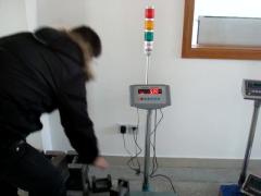 Customized Support and Relay Output XK315A1T Electronic Platform Scale with Weight Display