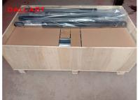 china Customized Small Pin eyes 700 mm Stroke Double Acting Hydraulic Cylinder