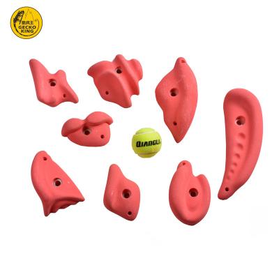 China Large L Customizado Gecko King Madeira Rocha de Escalada Segurança personalizada para os compradores finais à venda