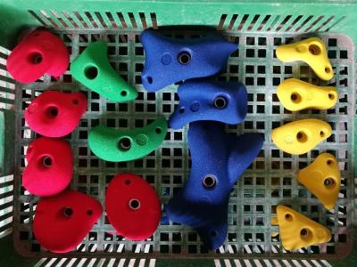 Cina Gecko King Colorato XL Blu Tenuta x Set 2pcs/Set per superfici di arrampicata durevoli in vendita