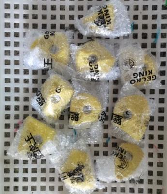 Cina Gecko King Colorato XL Blu Tenuta x Set 2pcs/Set per superfici di arrampicata durevoli in vendita