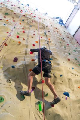 Cina 5 passeggeri Gecko King IFSC approvato M grandezza Rock Climbing Holds in diversi colori in vendita