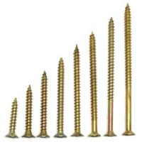 Quality Leisure Rock Climbing Just Got Better Volumes Screws for Inflatable-Free for sale