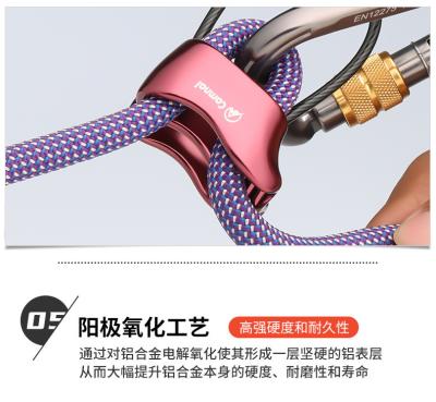 Cina Attrezzatura per arrampicata esterna per leghe di alluminio ad alta resistenza e protezione ATC certificata CE in vendita
