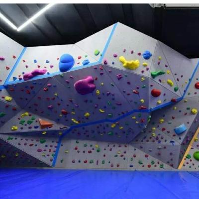 Cina Migliora la tua esperienza di arrampicata con le tenute di arrampicata XL di Gecko King in vendita