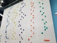 China 6pcs Durable GRP/PU Rock Climbing Holds Stone Boulder Professional Climbing Master for sale