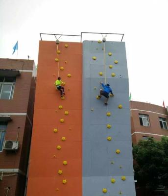 Cina Rock GeckoKing Climbing è la scelta migliore per l'arrampicata al chiuso in vendita