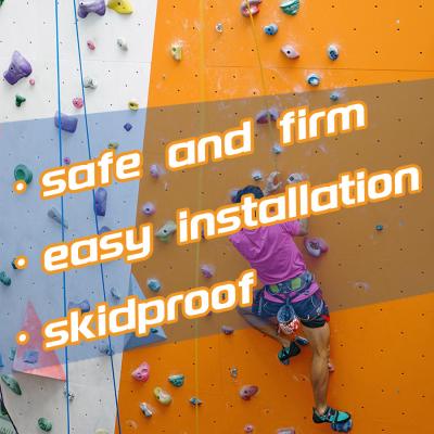 Cina GeckoKing Extra Large Polyurethane Artificial Rock Holds e consegna veloce per l'arrampicata in vendita