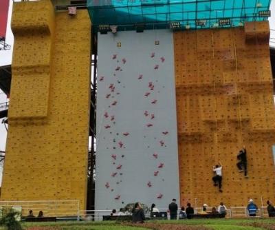 Cina L'arrampicata sulla roccia in fibra di vetro e plastica è la scelta migliore per i centri di addestramento interni ed esterni in vendita