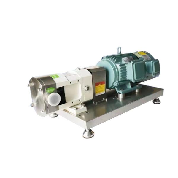 Quality High Performance Sanitary Grade Stainless Steel Pump Syrup Honey CAM Rotor Pump for sale