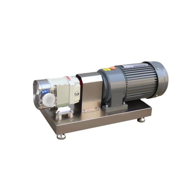 Quality Stainless Steel Food Delivery Adjustable Speed Liquid Paste CAM Rotor Pump for sale