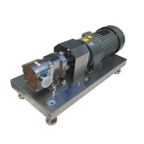 Quality Stainless Steel Food Delivery Adjustable Speed Liquid Paste CAM Rotor Pump for sale