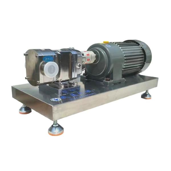 Quality Stainless Steel Food Delivery Adjustable Speed Liquid Paste CAM Rotor Pump for sale