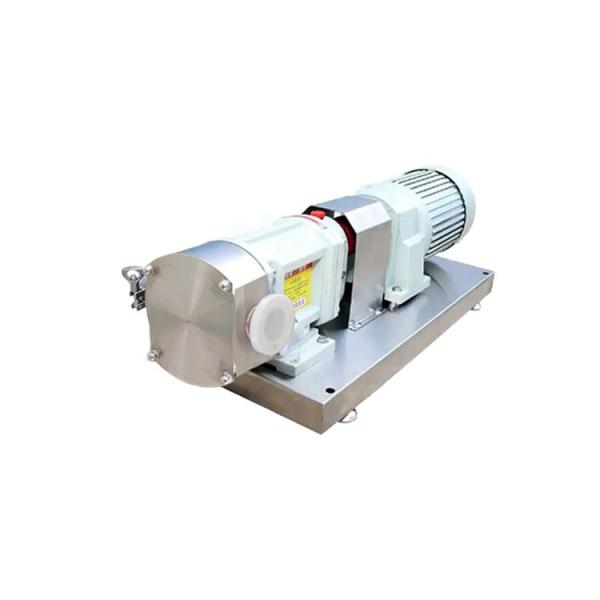 Quality Sanitary Food Grade Rotor Filling Honey Syrup High Viscosity Fluid Transfer Pump for sale