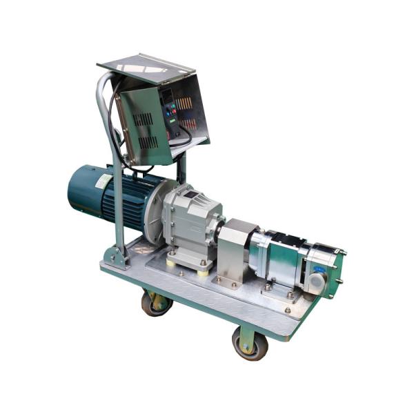 Quality Portable Variable Frequency Motor Ketchup Cream Gel Paint Pigment CAM Rotor Transfer Pump for sale