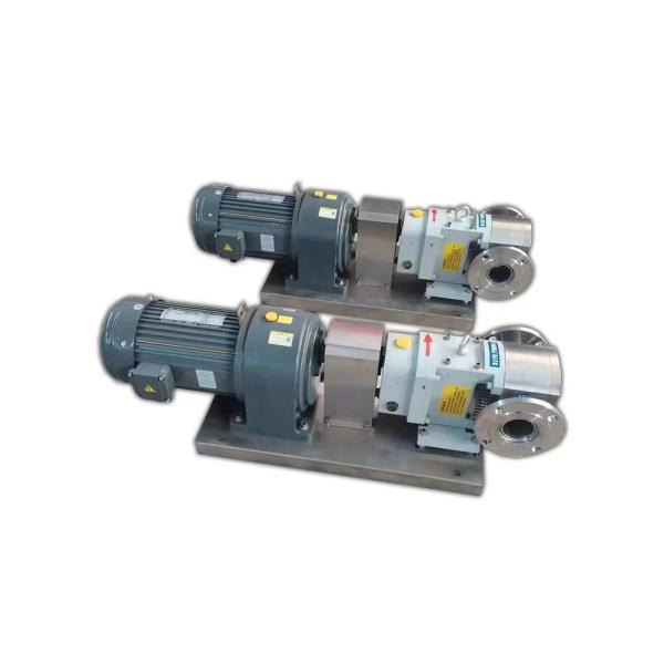 Quality Food Industry Stainless Steel Conveying High Viscosity Fluid Honey Vane Rotor Pump for sale