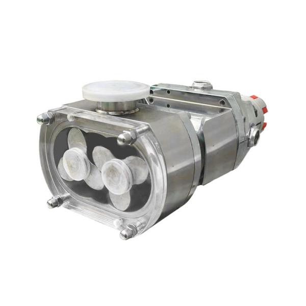 Quality Manufacturers Produce and Sell Food Cleanser Asphalt CAM Rotor Pump Pump Head Paste Liquid Stainless Steel Pump Head for sale