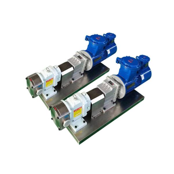 Quality Factory Price Sanitary Rotor Rotary Lobe Pump Food Grade for Syrup Honey Chocolate Molasses Yogurt Food Transfer Lobe Pump for sale
