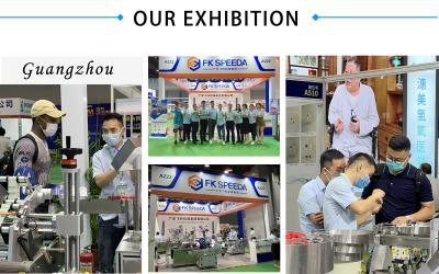 Cina FK-1K3 Vertical Stand Up Powder Filling And Packing Machine per alimentazione a 220 V in vendita