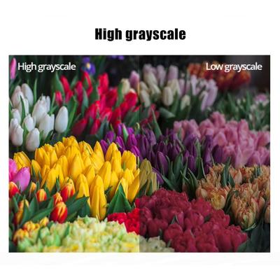 중국 간소화 된 COB 모듈 LED 디스플레이 패널 Rgb 스크린 실내 외관 광고 메뉴 판매용