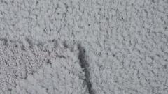 Premium Coral Fleece Fabric for Home Decor and Apparel